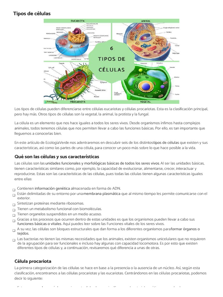 Tipos de Células | PDF | Biología Celular) | Organismos