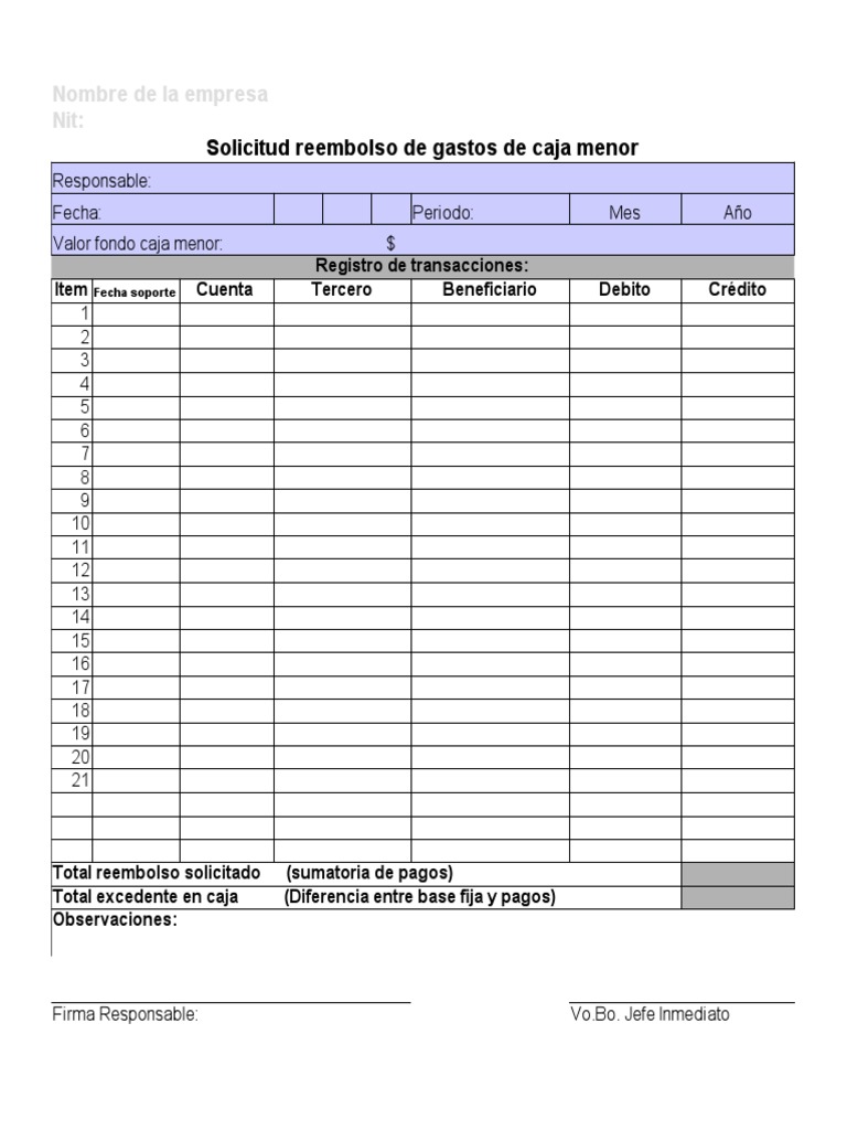 Formato Reembolso Caja Menor | PDF
