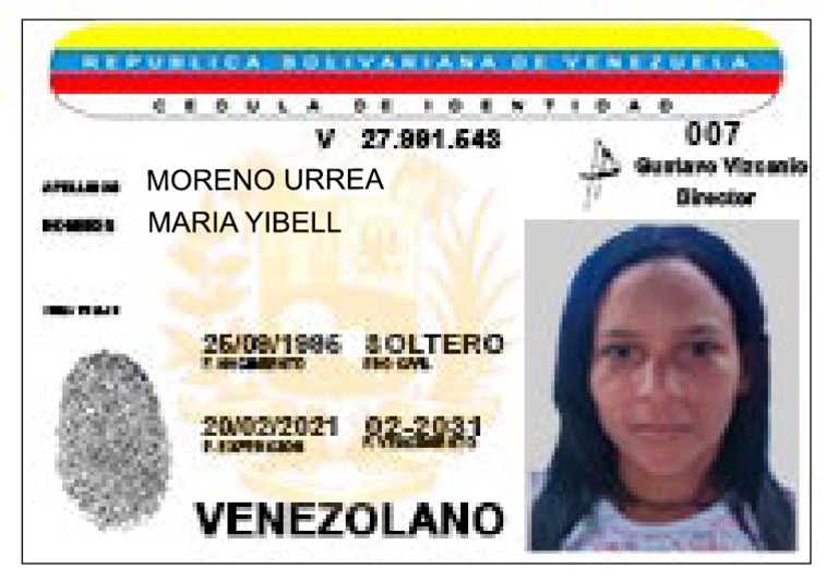 Formato de cedula tutorial | PDF