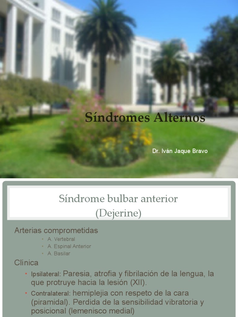 Síndromes Alternos y Hemihipostesia | PDF | Especialidades Medicas ...