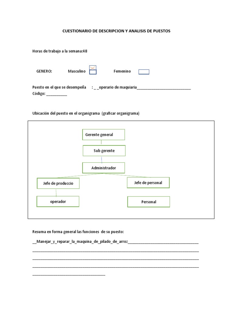 Cuestionario de Descripcion y Analisis de Puestos 1 | PDF