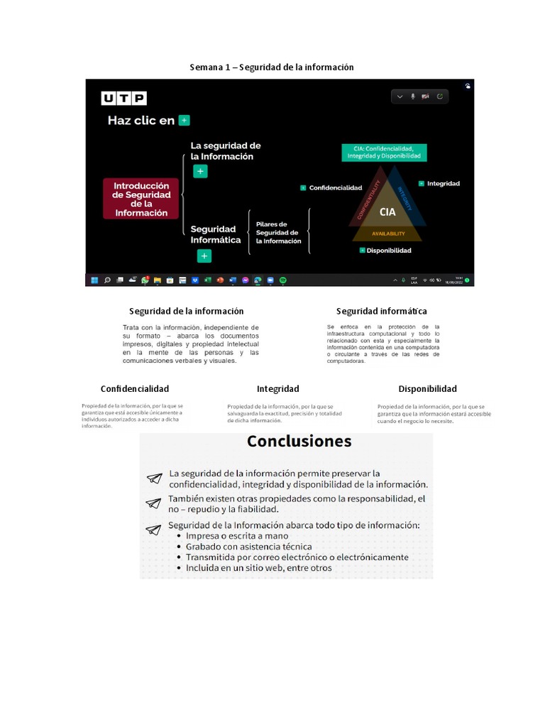 Semana 1 - Seguridad de La Información, Disp-Int-Conf | PDF