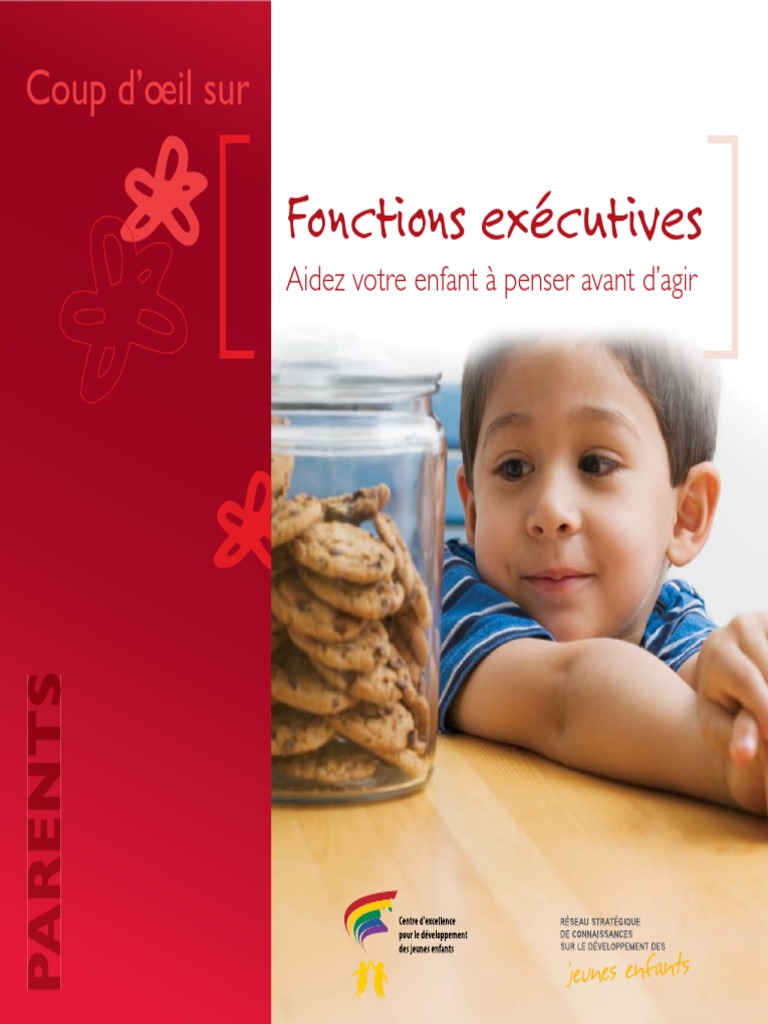Fonctions Executives Info Descargar Gratis Pdf Fonctions Exécutives
