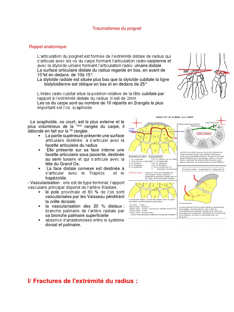 Fractures du Poignet et Scaphoïde | PDF | Appareil locomoteur | Main