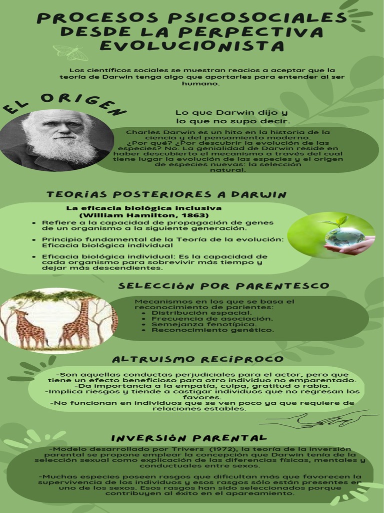 Infografía de Darwin | Descargar gratis PDF | Seleccion natural | Evolución