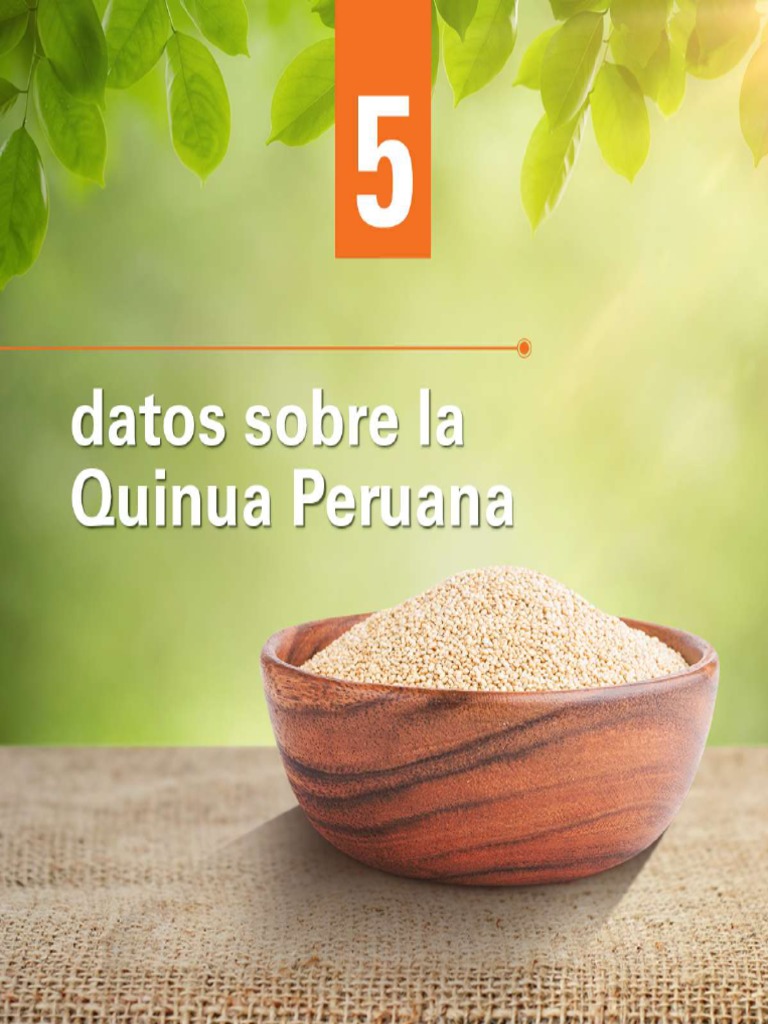 Datos Sobre La Quinua Peruana | PDF