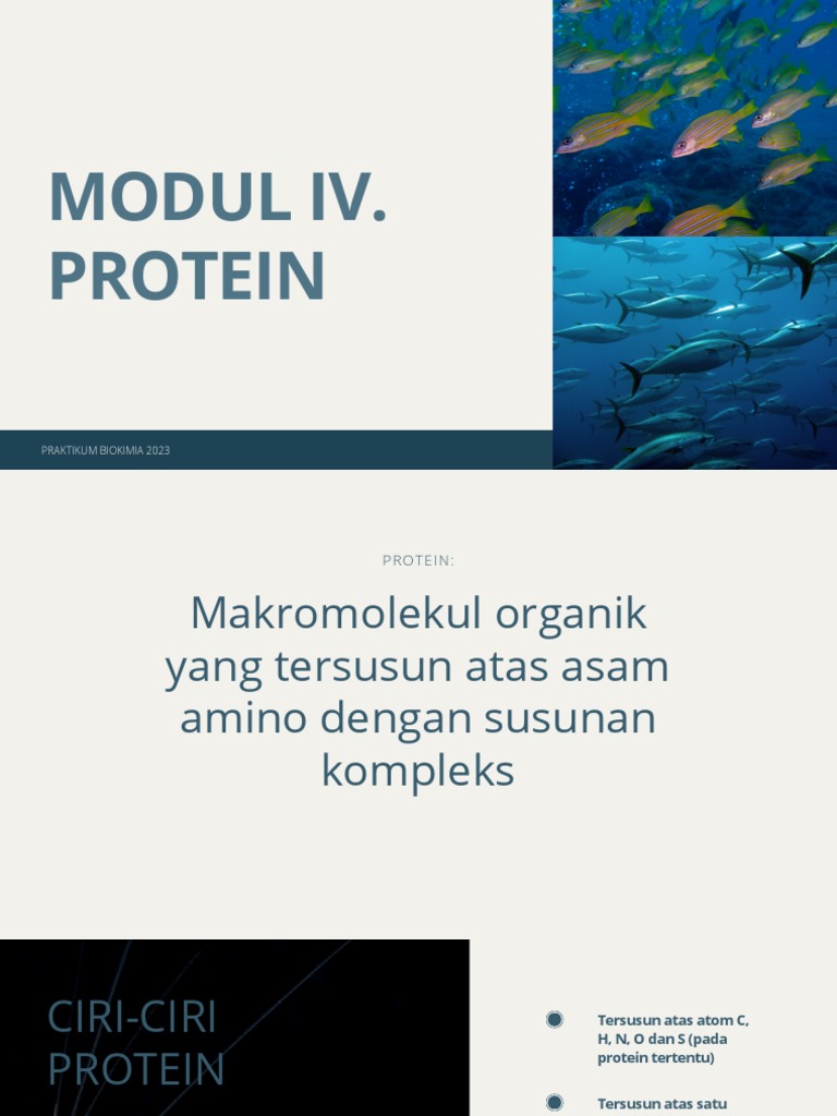 Praktikum Analisis Protein Biokimia | PDF