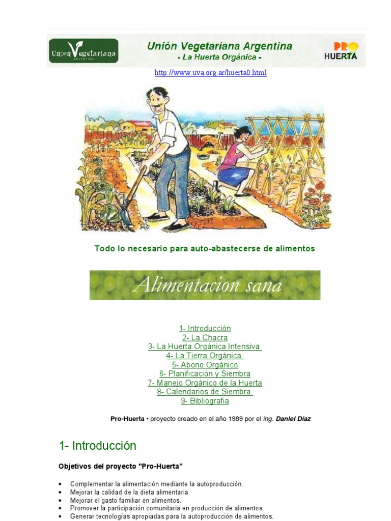 Huerta Inta | PDF | Suelo | Siembra