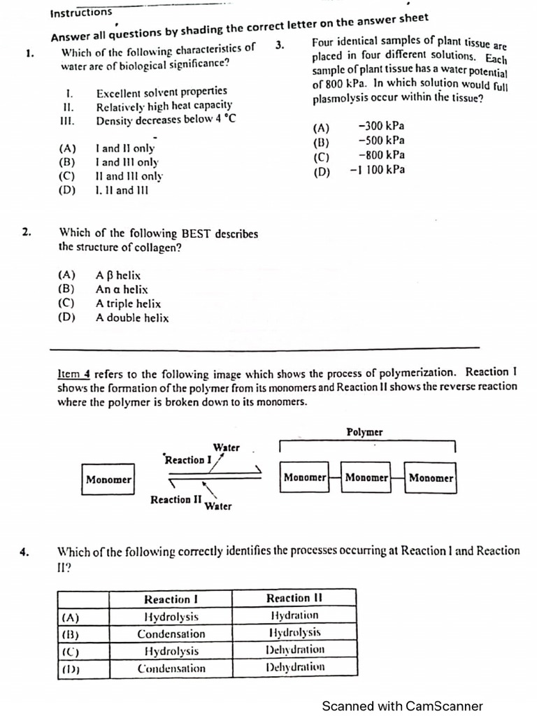 Cape June 2022 U1 P1 | PDF