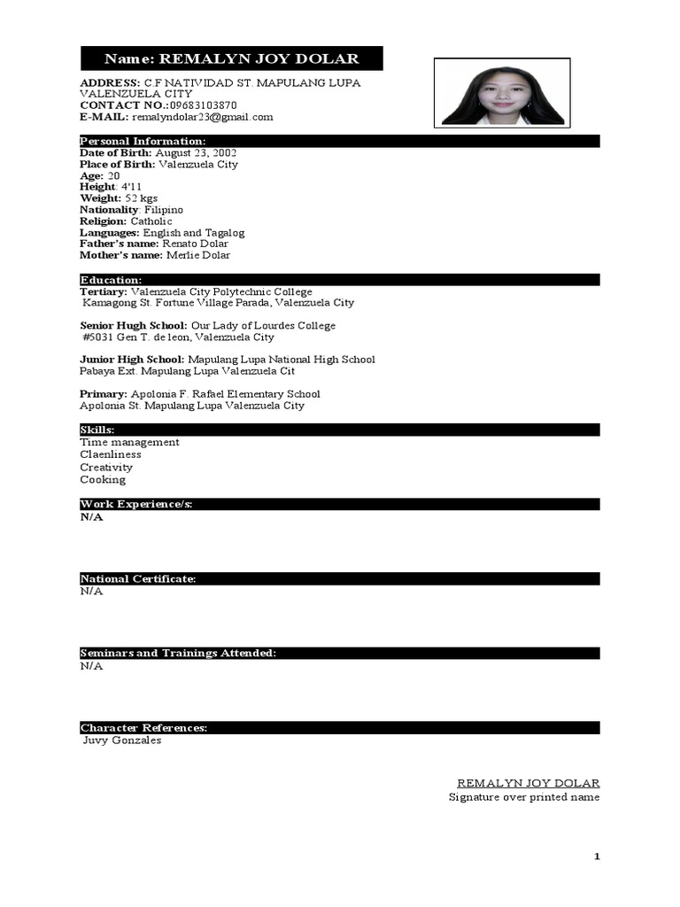 CV Template 1 PDF