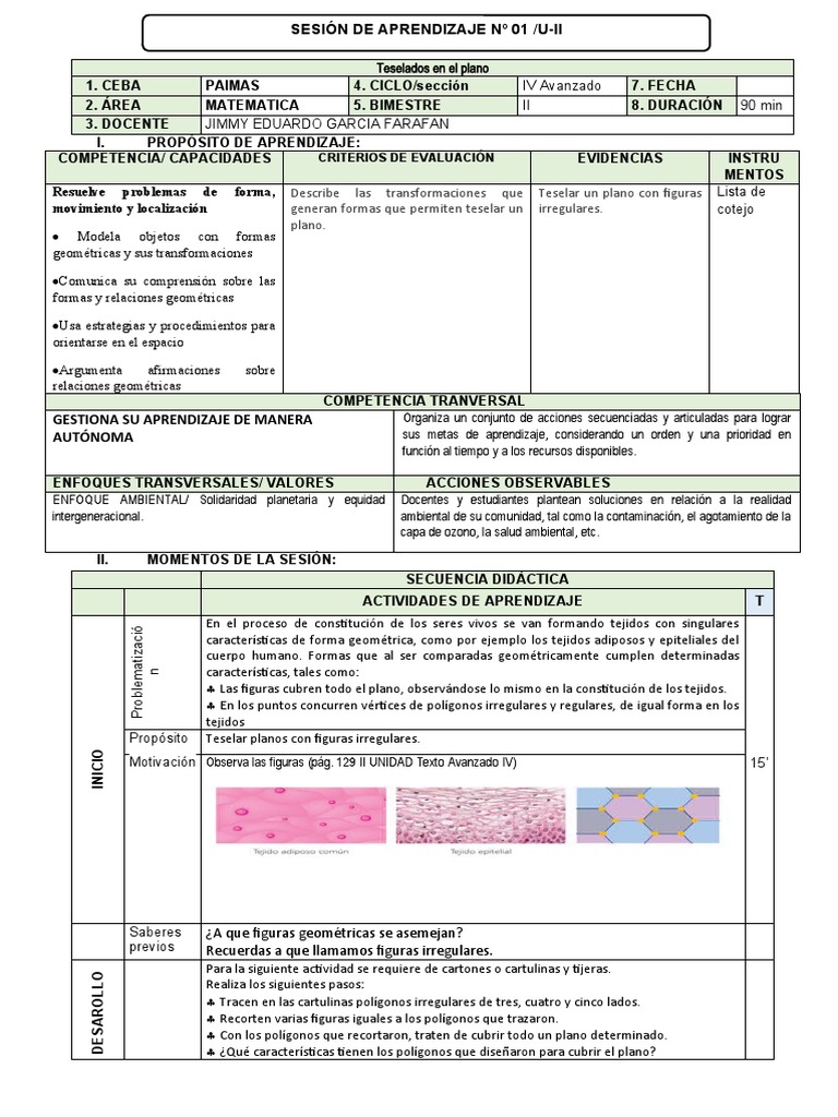 MODELO DE SESION DE APRENDIZAJE | PDF | Aprendizaje | Evaluación