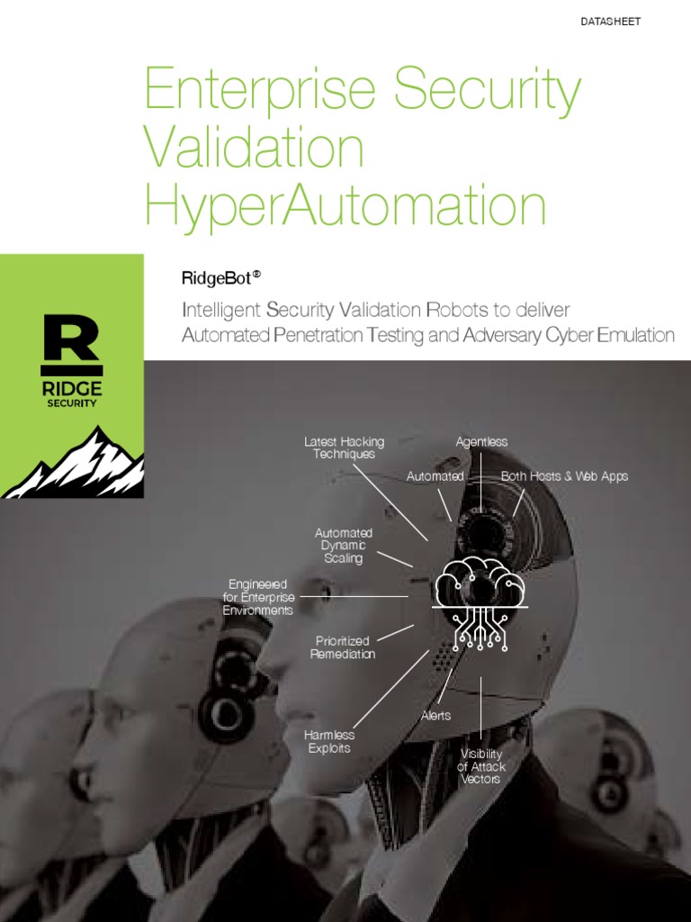 RidgeBot 4.2.1 Datasheet Final-3 | PDF | Computer Security | Security