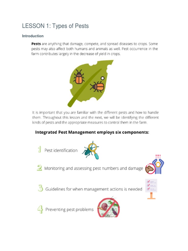 4th Quarter Types of Pest | PDF