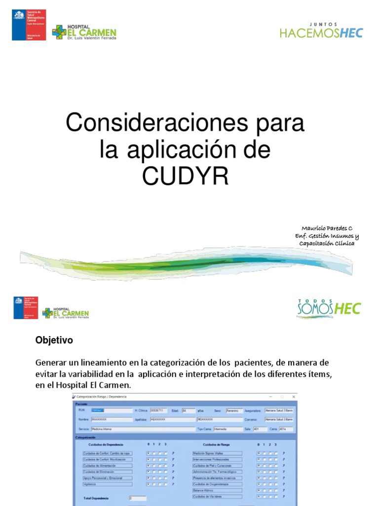 Lineamientos para Categorización CUDYR | PDF | Enfermería ...