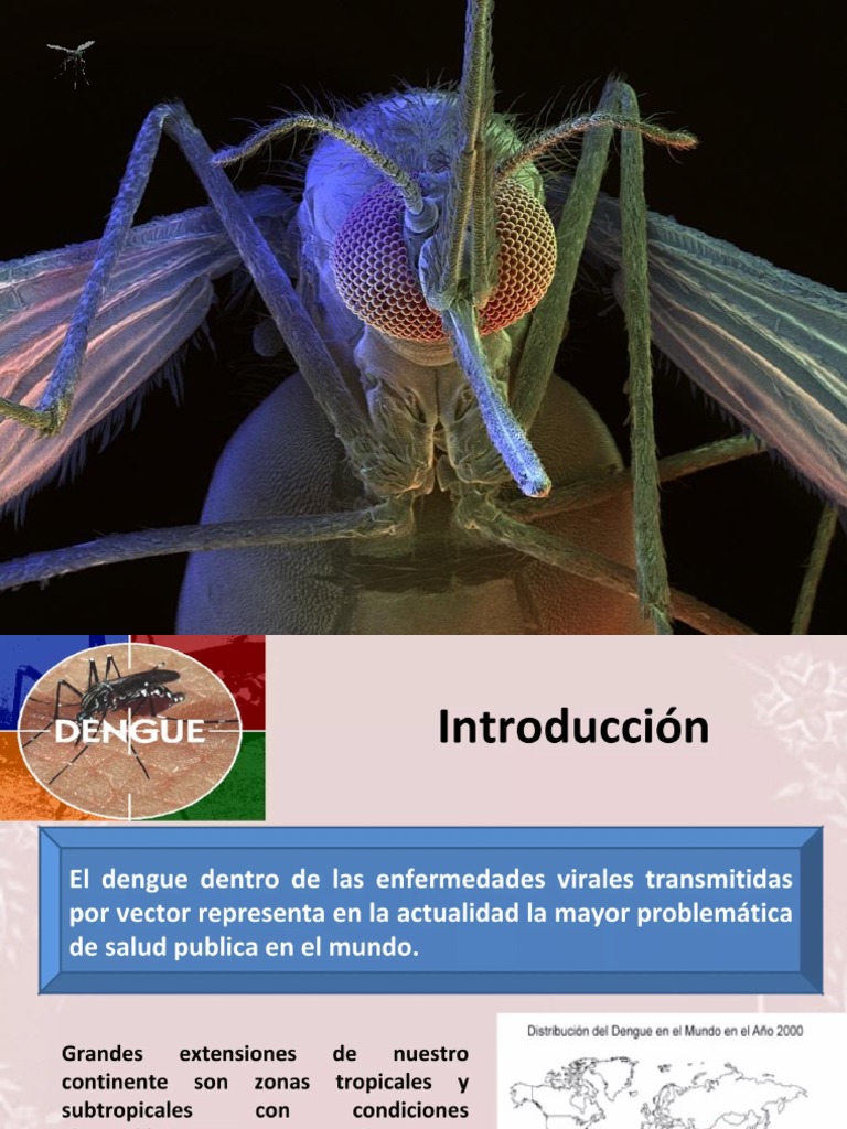 Presentacion Dengue | PDF | Anticuerpo | Causas de la muerte