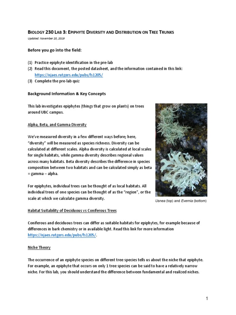 Biol 230 Epiphyte Lab 2019 | PDF