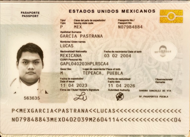 Identificación Oficial | PDF