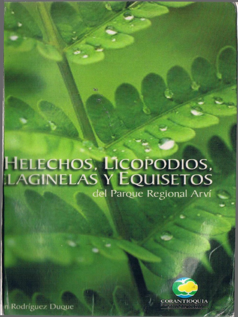 Helechos, Licopodios y Equisetos | PDF | Hoja | Morfología Vegetal