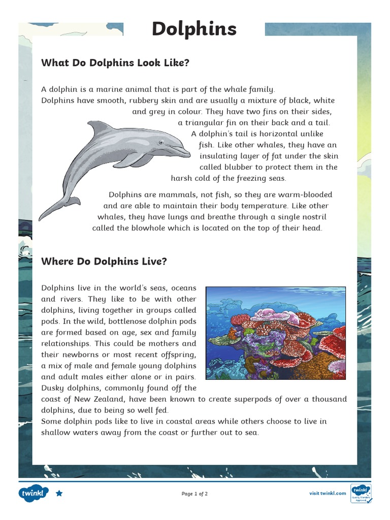 Dolphins Comprehension Worksheet - Removed | PDF | Dolphin | Whales