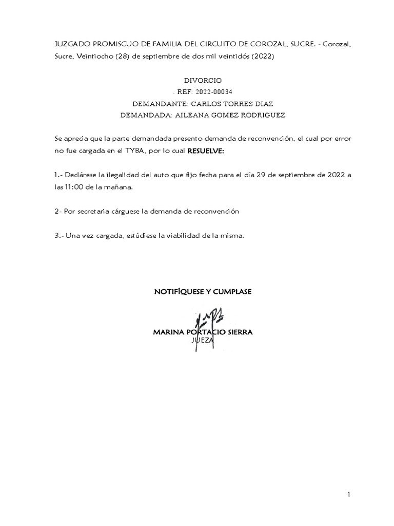 Audo Decide Adecuar El Proceso | PDF