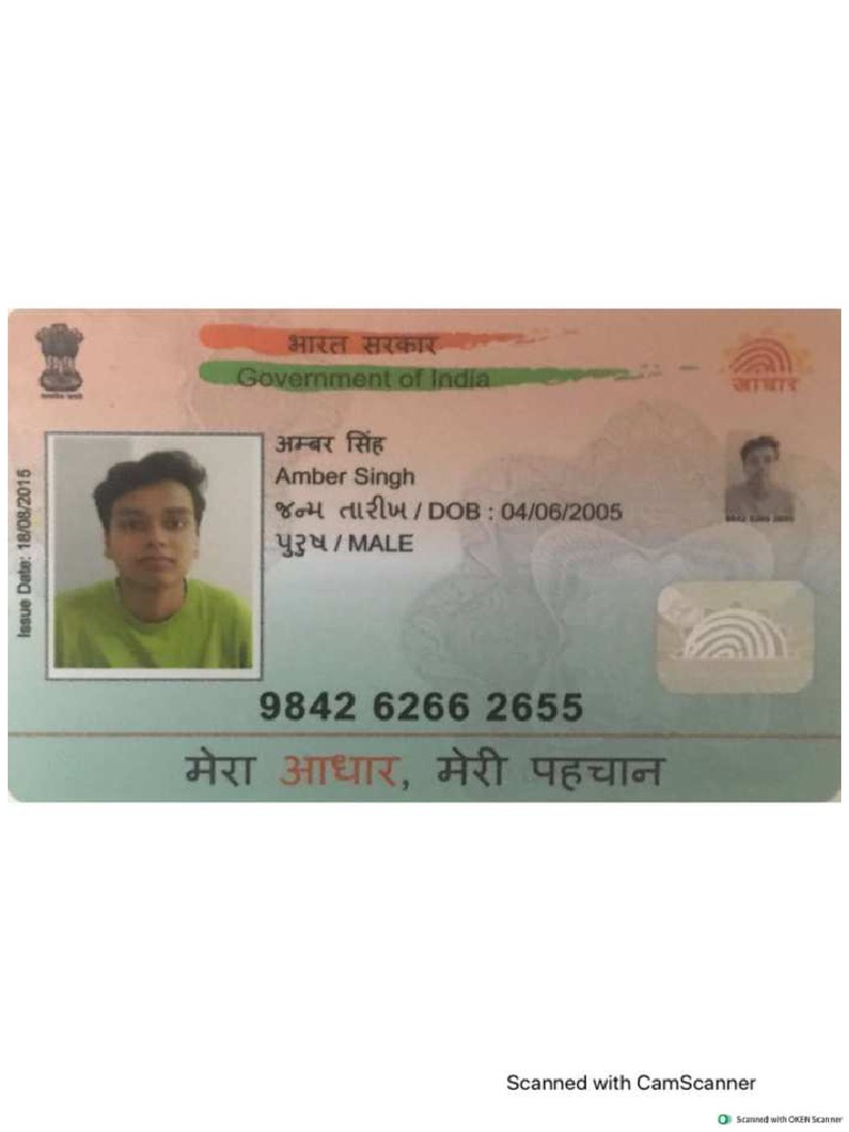 2.0 Amber Singh Aadhar Card - Compressed | PDF