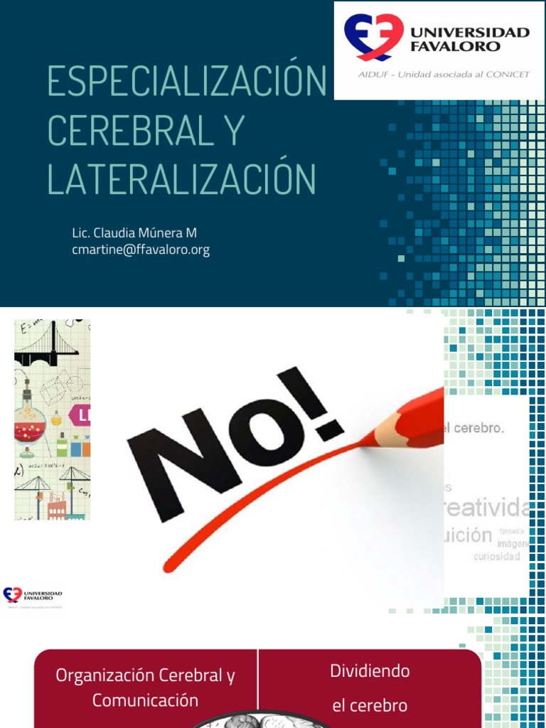 Especialización y Lateralización Hemisférica 21 de Mayo 2020 | PDF