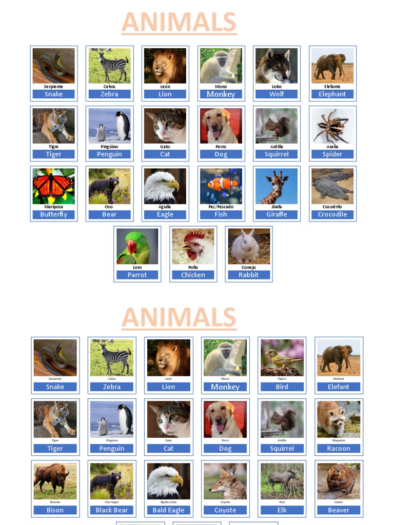 Bilingual Animal Names List | PDF