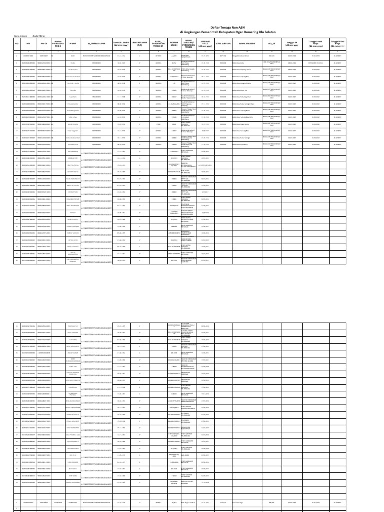 Update Data Non ASN Dan EKS THK II (PKM - PULAU BERINGIN) BARU | PDF