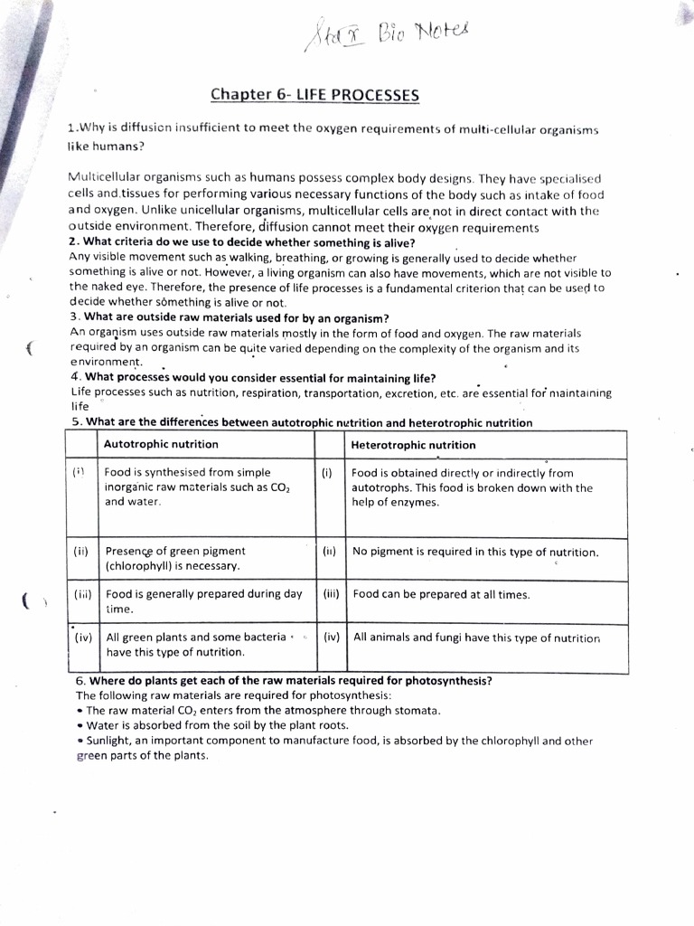 Life Processes Notes Pdf Atrium Heart Physiology