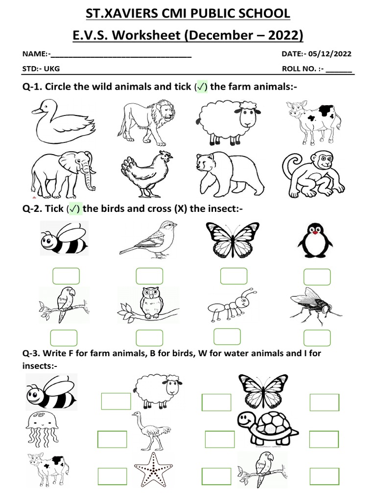 Dec. EVS Worksheet-1 | PDF
