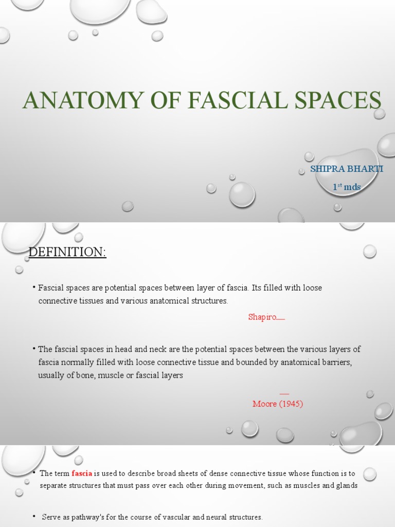 Anatomy of Fascial Spaces | PDF | Neck | Human Head And Neck