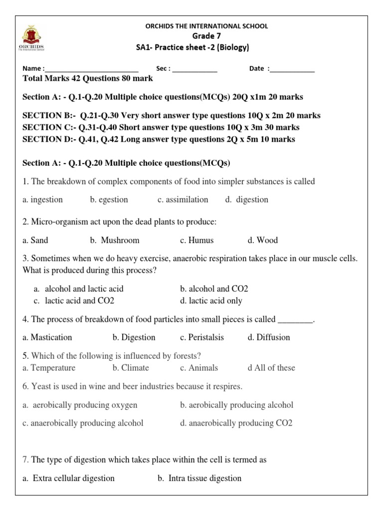 Grade 7 Biology Practice Sheet | PDF | Digestion | Cellular Respiration