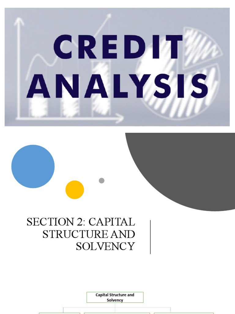 07.Part 2. Credit Analysis-Capital Structure and Solvency | PDF
