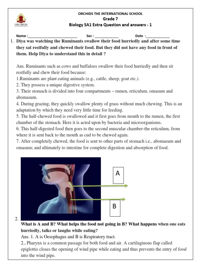 SA1 Extra Question and Answers - GRD 7 - Biology | PDF | Digestion ...