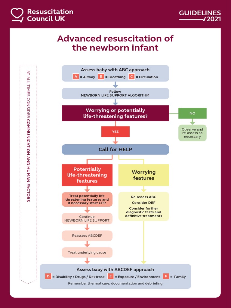 Advanced Resuscitation of the Newborn Infant Algorithm 2021 | PDF ...