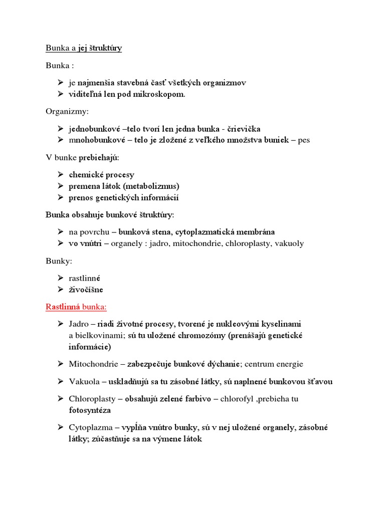 Bunka A Jej Struktury | PDF