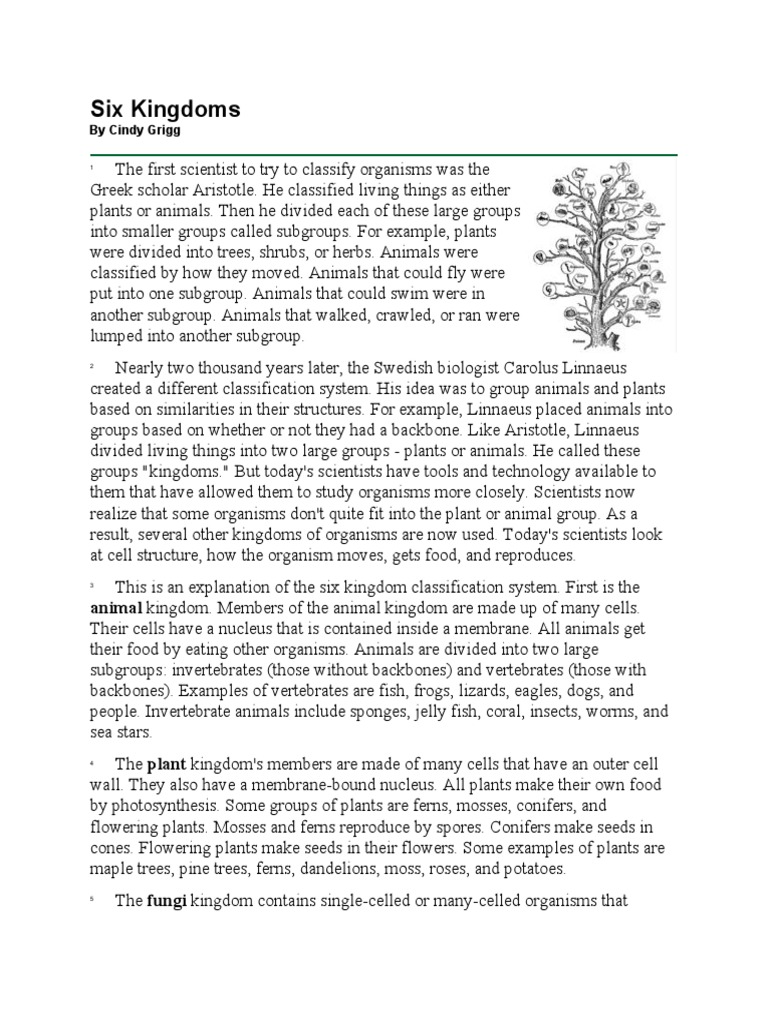 Kingdoms of Life Worksheet 8 | PDF