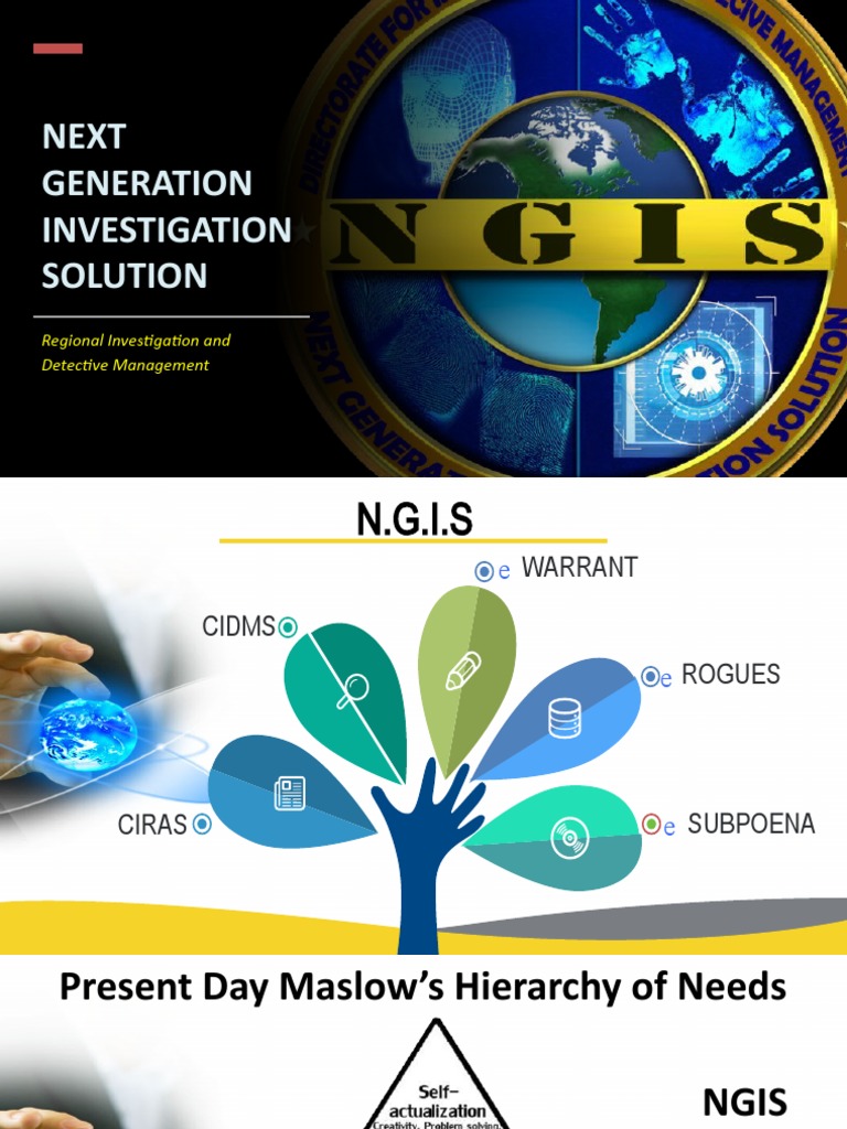 NGIS Revised Lecture | PDF | World Wide Web | Internet & Web