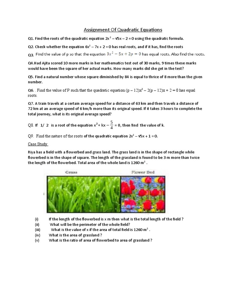 Assignment of Quadratic Equations 1 | PDF