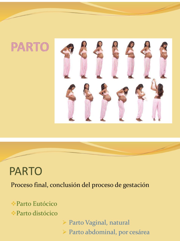 Parto Gestación | PDF | Parto | Embarazo humano