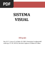 Anatomía de la Vía Visual Humana | PDF | Percepción visual | Corteza visual