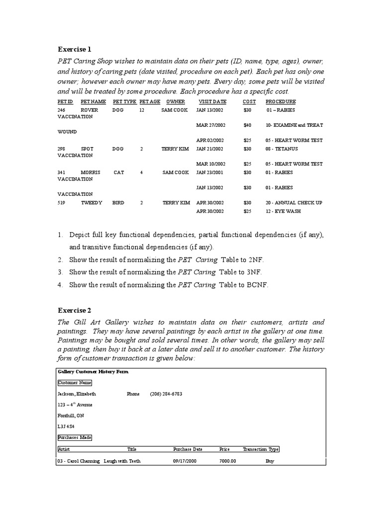 Normalization Exercises | PDF | Pet | Domesticated Animals