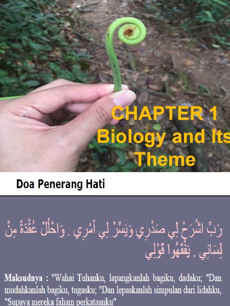 Chapter 1 Biology and Its Themes | PDF