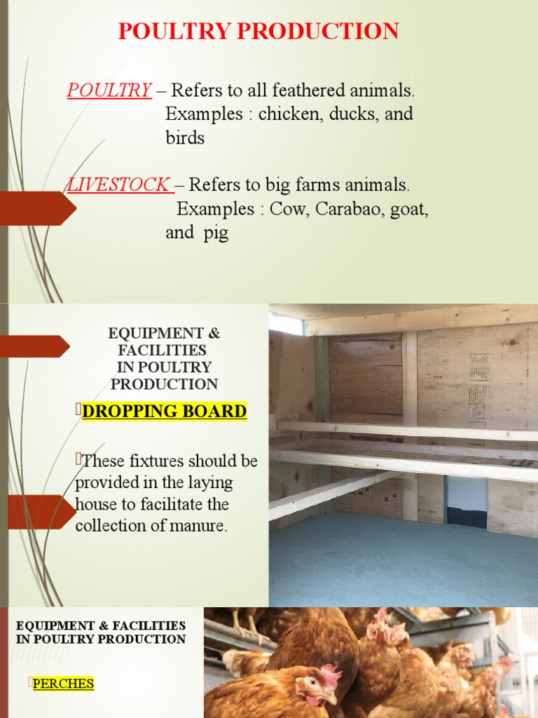 Equipment and Facilities in Animal Production | PDF