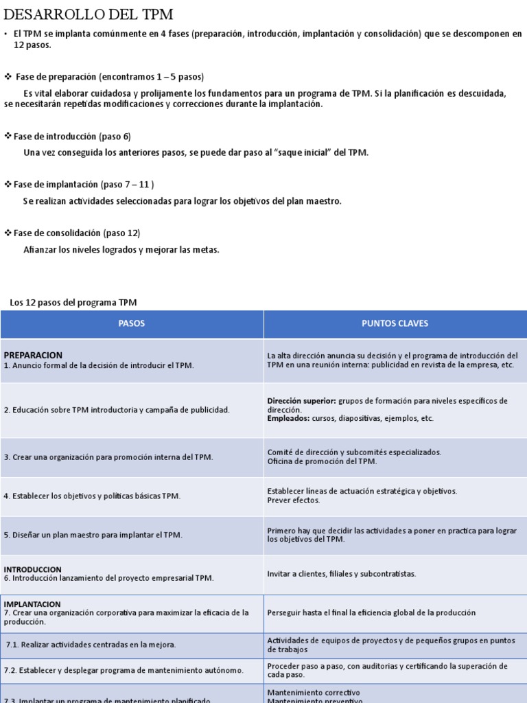 Desarrollo Del TPM Pasos | PDF | Economias | Business