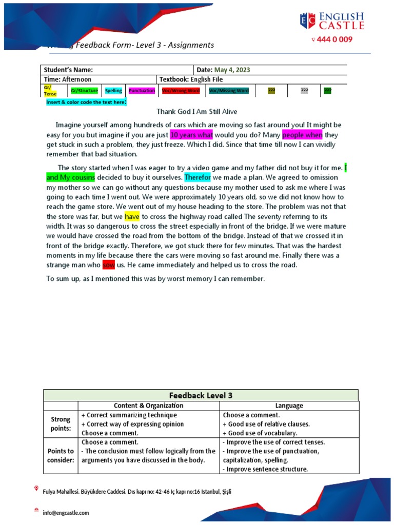 Writing Feedback Form: Level 3 Evaluation | PDF