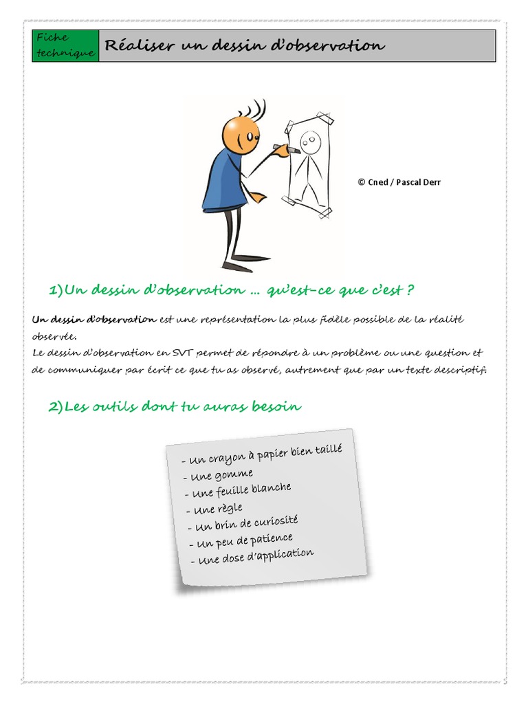 Fiche Methode Dessin D - Observation | Descargar gratis PDF | Dessin