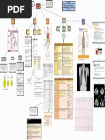 Protocolo Blue | PDF | Enfermedades y trastornos | Neumología
