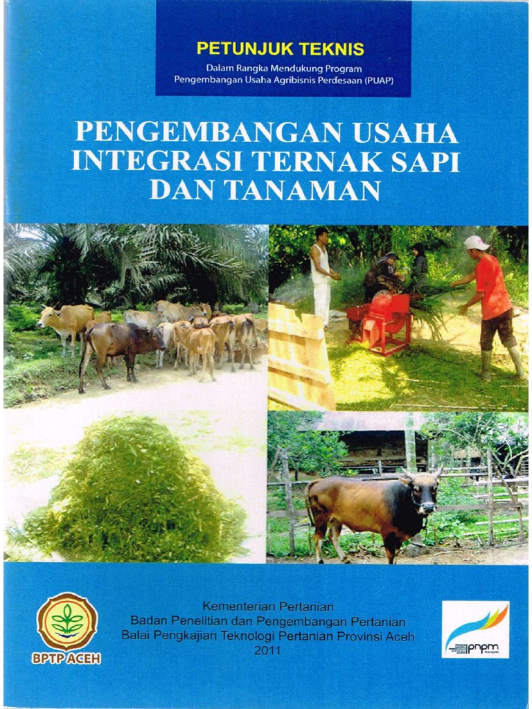 Pengembangan Usaha Integrasi Ternak Sapi Dan Tanaman | PDF