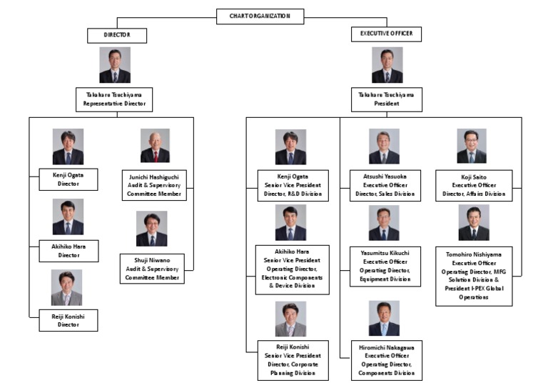Company Organizational Chart Overview | PDF | Business